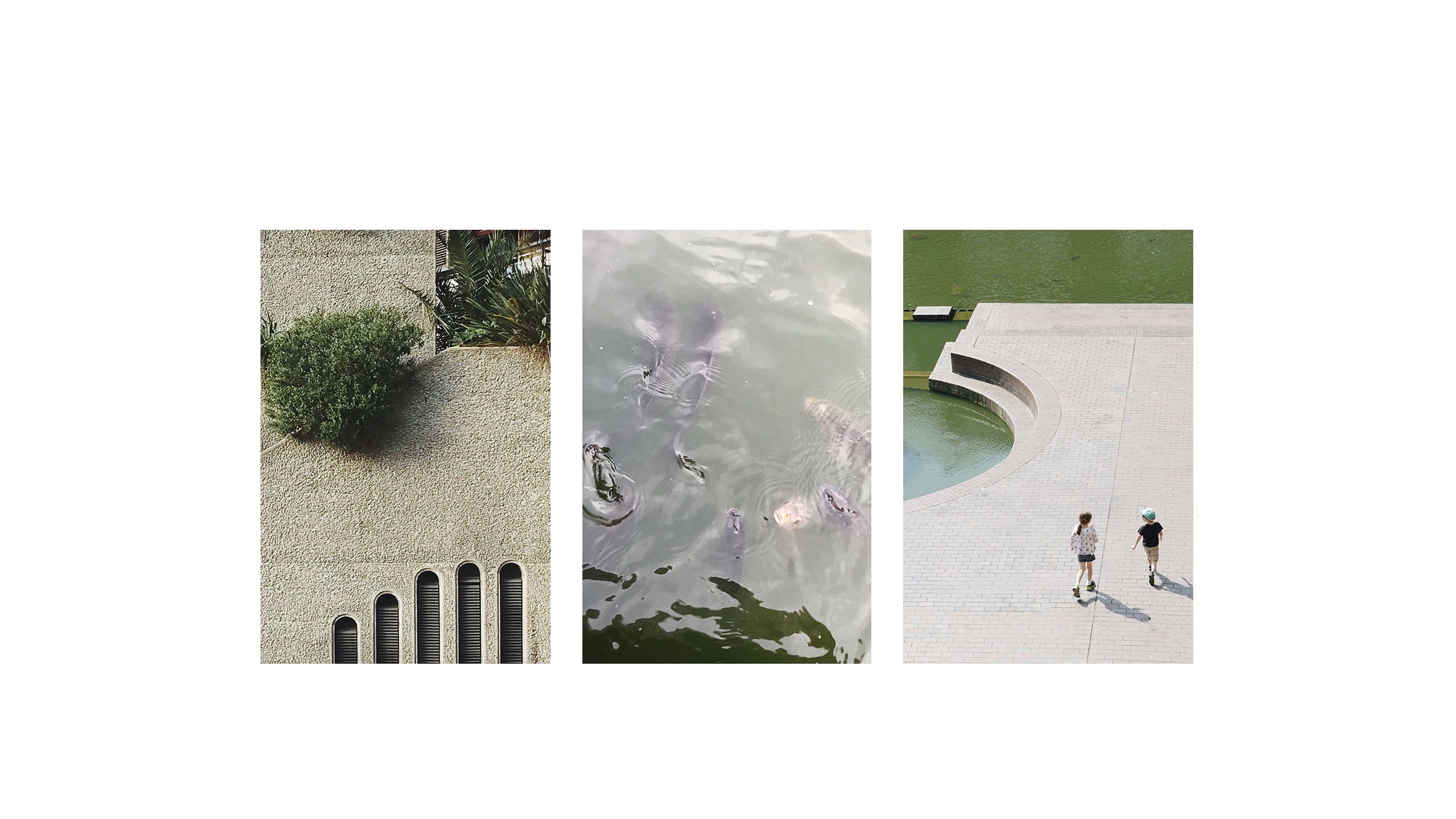 Instagrammer in Residence: Elliot Nash