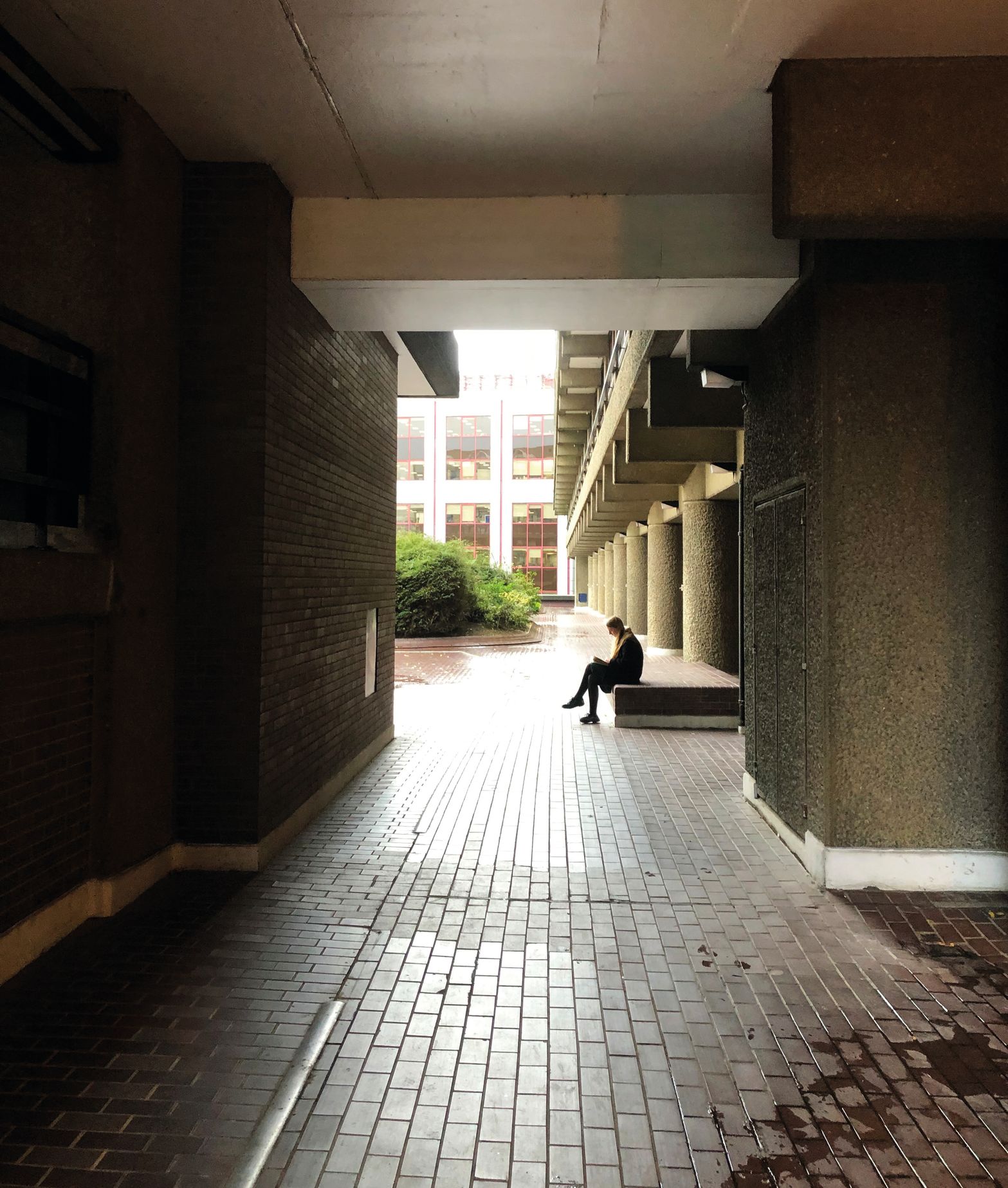 Barbican Guide: June 2020